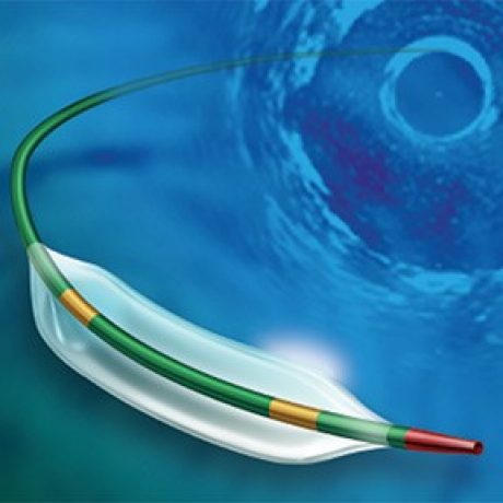 Maverick2 ™ PTCA Balloon Catheters – Meditek Systems